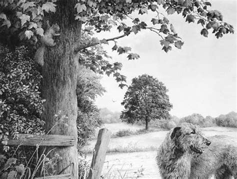 Drawing Trees Drawing From Line To Life