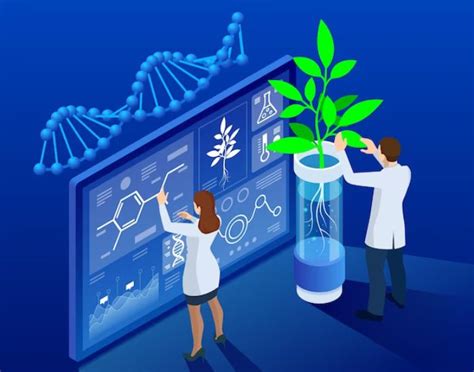 Consumer Ecosystem Examples Examples Of Consumers In A Food Chain