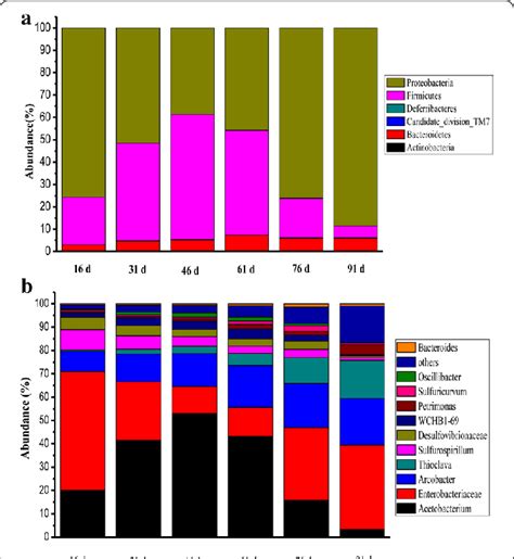 Relative Abundance Of Bacterial Communities At A Phylum And B Genus