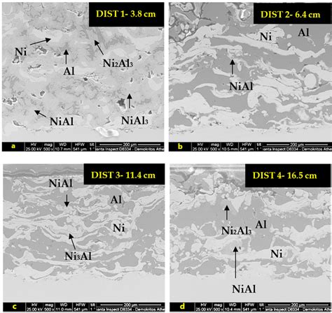 Sem Se Mode Micrographs Of The Cross Sections Of The Coatings