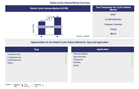 Cyclic Ketone Market Report Trends Forecast And Competitive Analysis