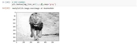 How To Get Started With Opencv For Image Processing By Mithilesh Pradhan Analytics Vidhya