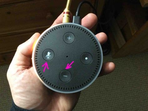 Top Ways To Fix Amazon Alexa Echo Not Playing Music