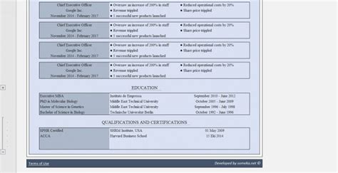 Resume Template Excel Template CV Template Professional Resume Template Executive Resume Etsy