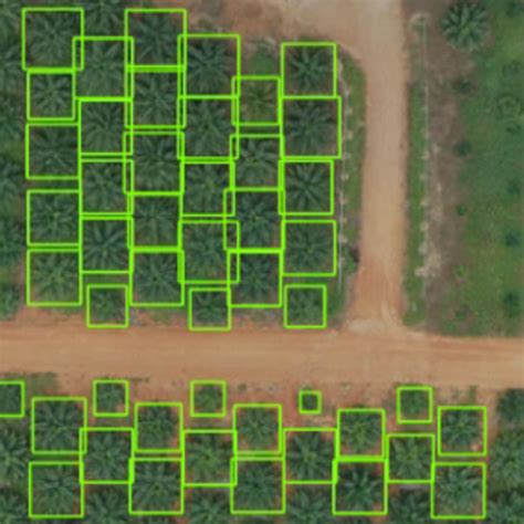 Response Maps In Different Rpn Stages Rpn Is Sequentially More Download Scientific Diagram
