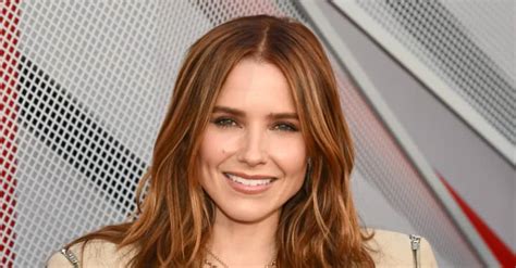 Sophia Bush Height Weight Measurements Age Biography