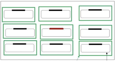 10 Modern Approach To Cloning Flashcards Quizlet