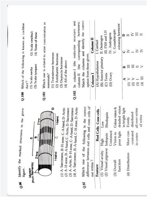 q 96 identify the marked structures in the given q 100 which of the follo