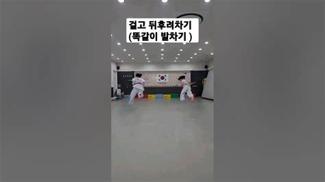태권도 발차기 자세 똑같이 만들기 걸고뒤후려차기 빨강띠발차기 Youtube