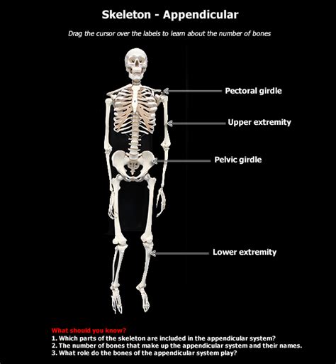 Human Anatomy Physiology 1