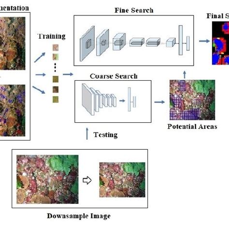 coral segmentation pipeline download scientific diagram