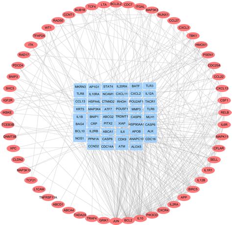 Based On Geo2r Analysis Differentially Expressed Genes Of Imatinib