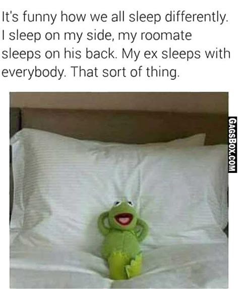 Kermit Asleep