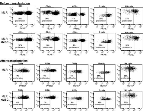 Flow Cytometric Analysis Of The Proliferation Of Recipient Lymphocyte Download Scientific