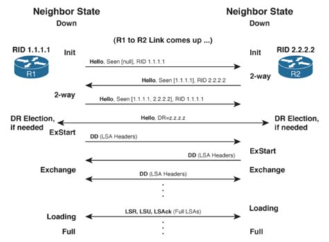 OSPF Flashcards Quizlet
