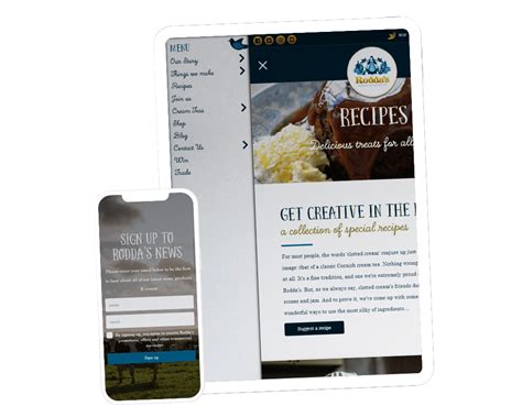 Roddas Website Design Portal And Animation Production Project