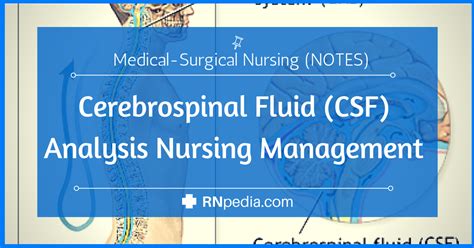 Cerebrospinal Fluid Csf Analysis Nursing Management