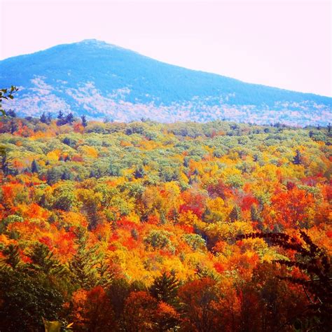 Mount Monadnock State Park All You Should Know Before Going 2026