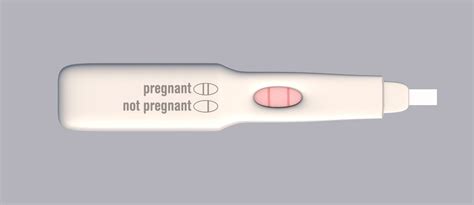 임신 테스트 양성 3d 모델 50 3ds C4d Unknown Obj Free3d