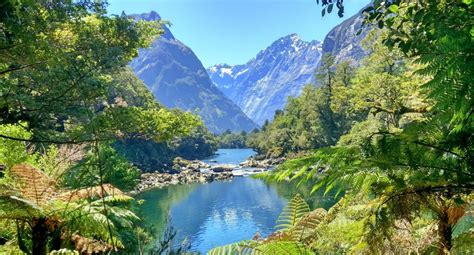 Why New Zealands Milford Track Is Called The Finest Walk In The World