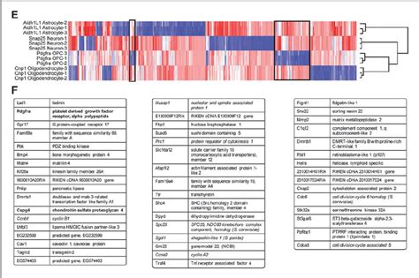 Continued E Hierarchical Clustering And Heat Map For Microarrays