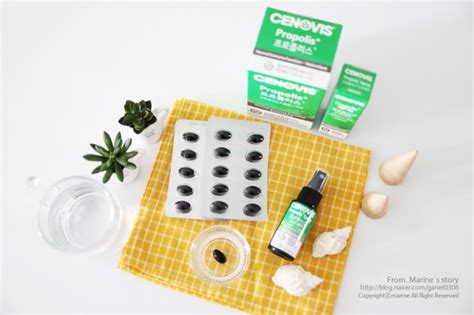 우리가족이 챙기는 정상적인 면역기능 위한 프로폴리스 구강 항균 위한 프로폴리스 스프레이 네이버 블로그