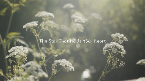 작은 것에서 사랑을 찾아요 사랑 휴식 잠 잘때 행복 Youtube