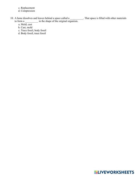 4922302 Types Of Fossilization Practice Allen28