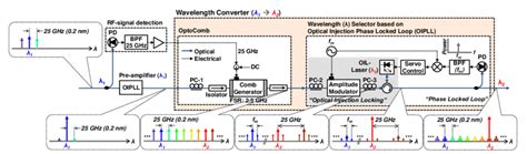 Scenario Of Wavelength Conversion Based On The Optocomb And Optical