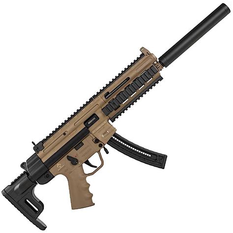 Gsg 522 Carbine