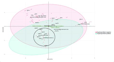 Multiple Correspondence Analysis The Cluster Analysis Explained 41 Download Scientific