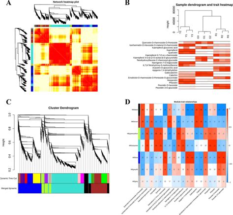 A Network Heatmap Plot Of Genes Subjected To Co Expression Module