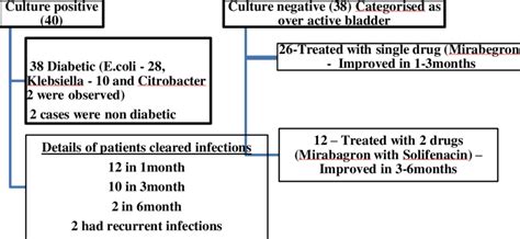Investigation Of The Cases Based On Urine Routine Download Scientific