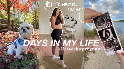 Pregnancy Vlog 1st Trimester Recap Dinner Ideas Pregnancy Signs