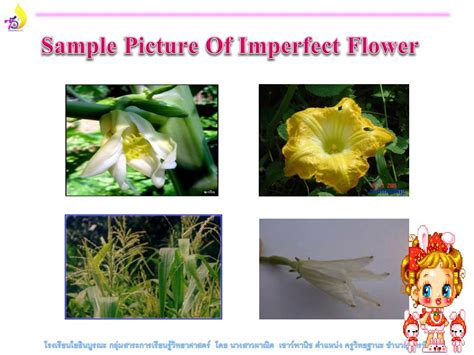 Ppt Plant Reproduction Powerpoint Presentation Free Download Id