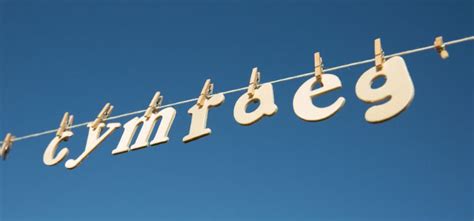 Leading Professional Learning Across Cluster Schools To Develop The Bilingualism Of Pupils Estyn