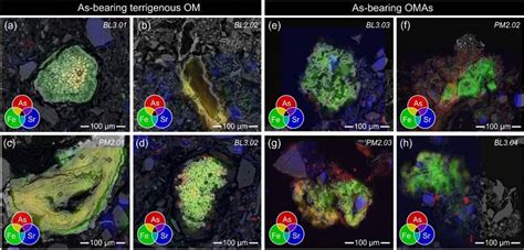 Micro Xrf Element Maps Showing As Kα Red Fe Kα Green And Sr Kα Download Scientific