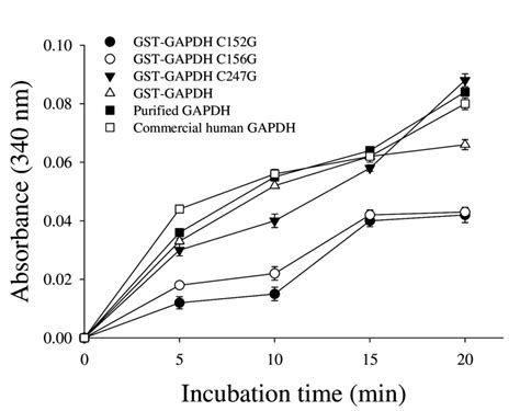 Fig S1 Analysis For Gapdh Activity The Glycolytic Activity Of