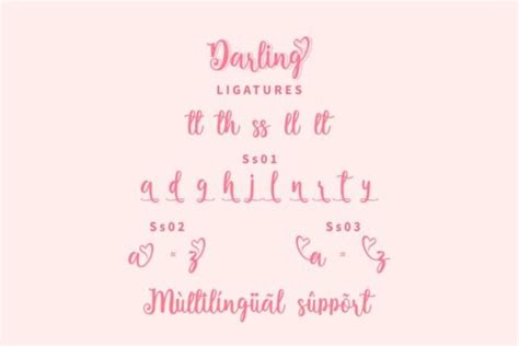 Darling Script Font Modern Font Handwritten Font Personal Display Font Calligraphy Font