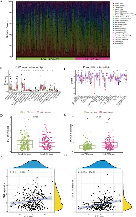 Immune Function Evaluation Between The Two P Ca Score Groups A Immune