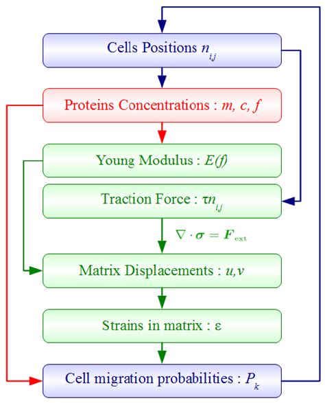 Graph Showing The Model Implementation With Its Successive Calculation