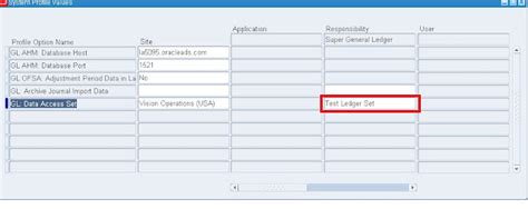 Ledger Set In R Oracle Techno Functional