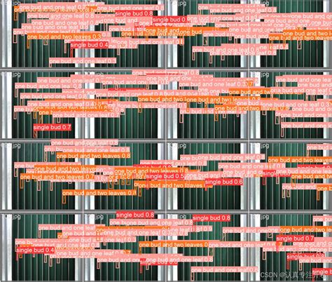 【yolo项目】树叶检测识别与改进yolo V8检测绿色植被可以用什么改进点 Csdn博客