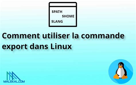 Comment Utiliser La Commande Export Dans Linux Avec Des Exemples