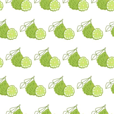 Premium Vector Pattern Of Citrus Green Fruits Bergamot Hand Drawn