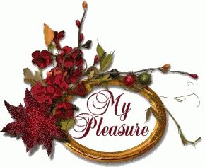 My Pleasure S