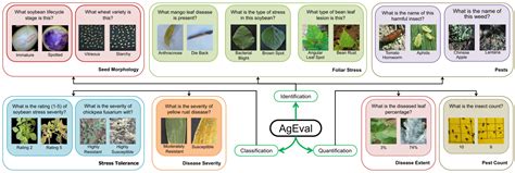 논문 리뷰 Leveraging Vision Language Models For Specialized Agricultural