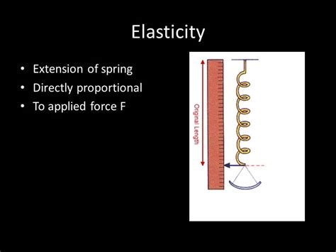 Igcse Physics Elasticity Cont
