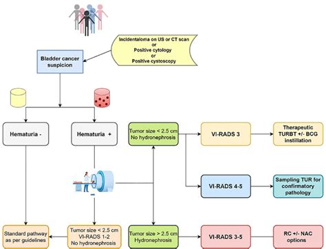 Proposed Predictive Pathway Based On The Clinical And Radiological Download Scientific Diagram