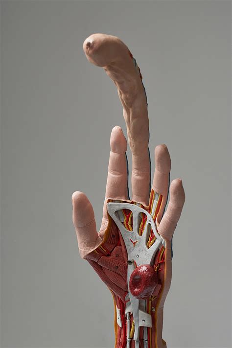 Seeding Finger Is A Hand Shaped Tool For Artificial Insemination